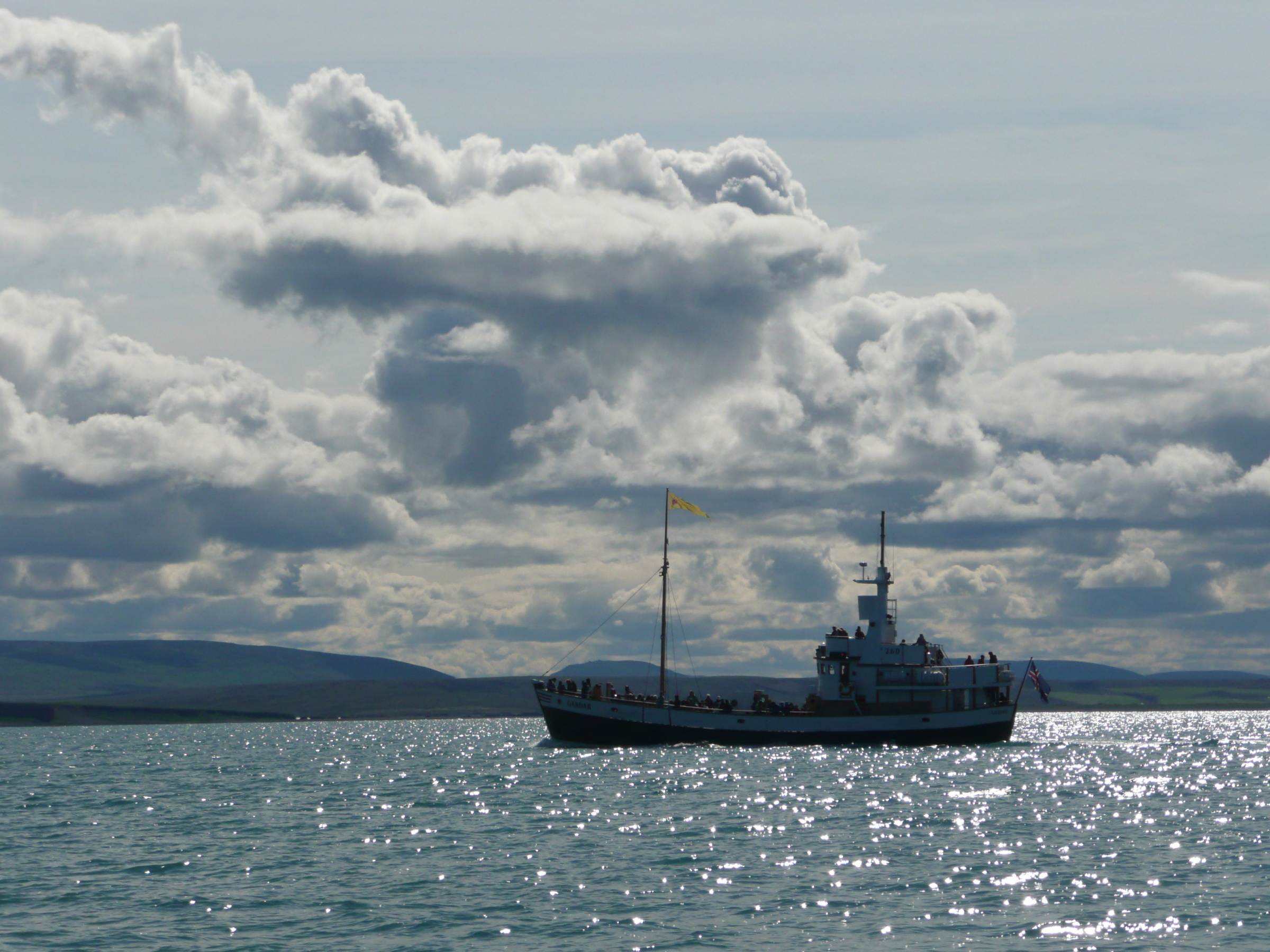 011: Praise the Whale - Jules Pretty