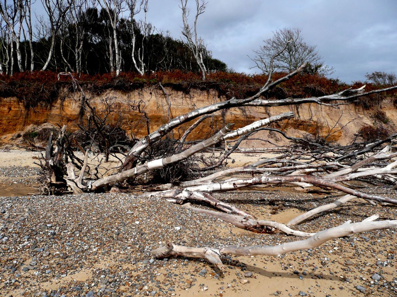 004: The Drowning of Doggerland - Jules Pretty