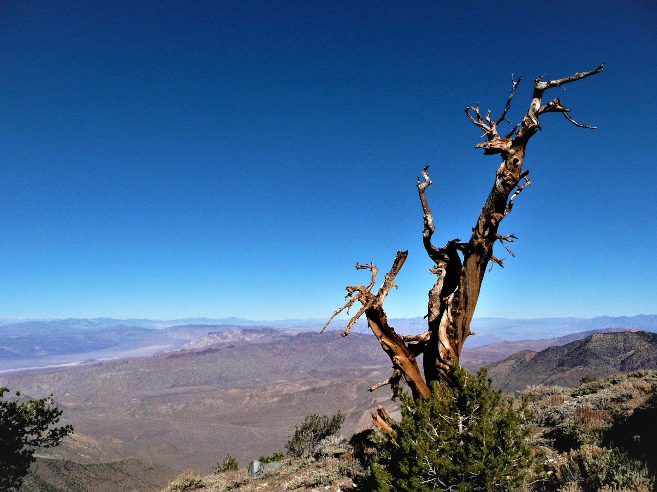 009: The Ancient Standing People - Jules Pretty