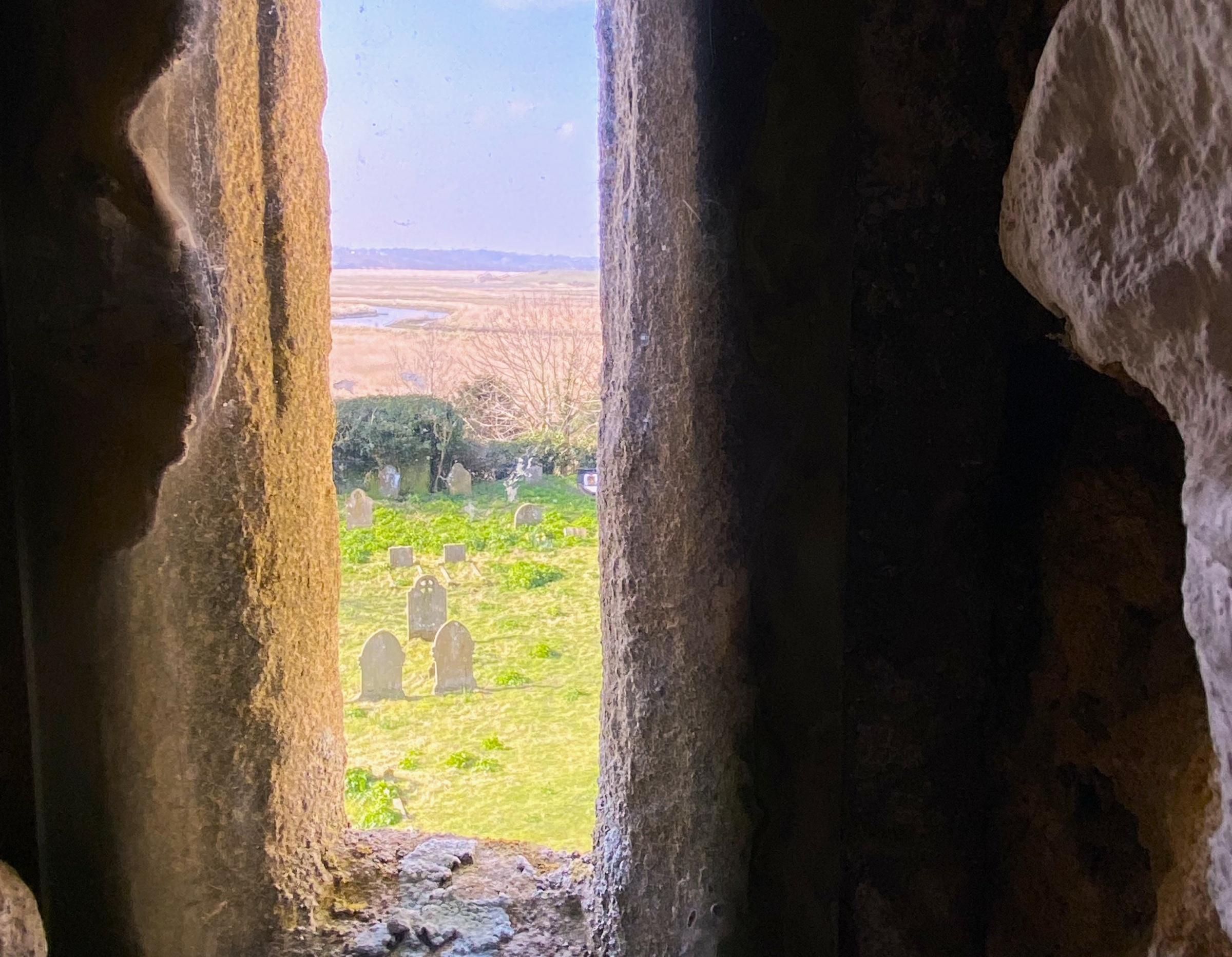 008: Shuck the Black Dog - Jules Pretty