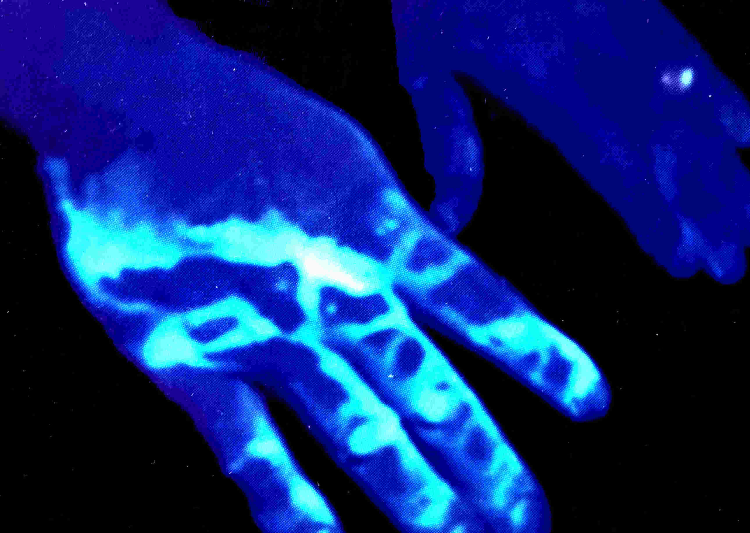 Intensification for redesigned and sustainable agricultural systems ...