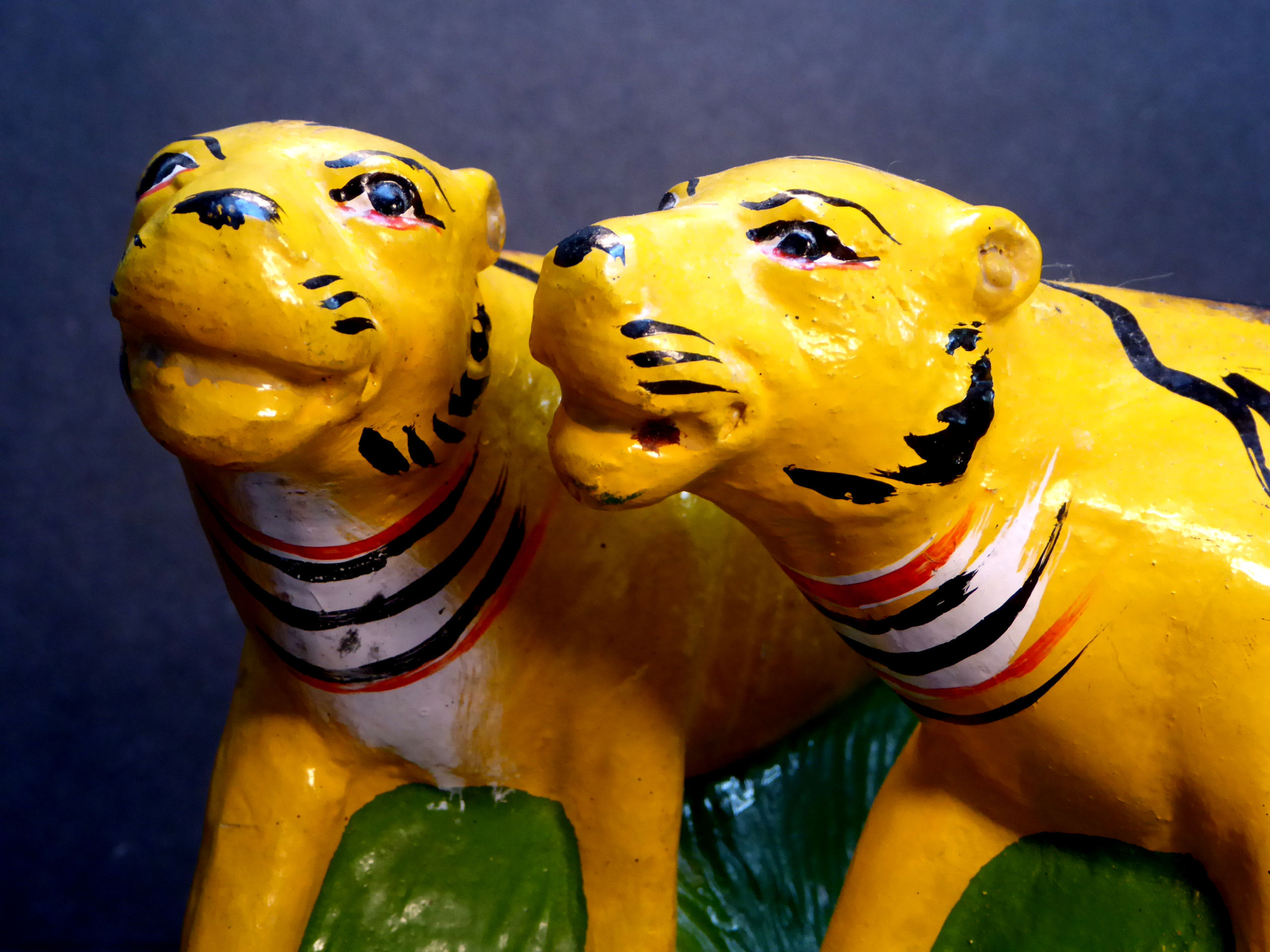 Ten Years On: A Review of the First GlobalConservation Horizon Scan ...