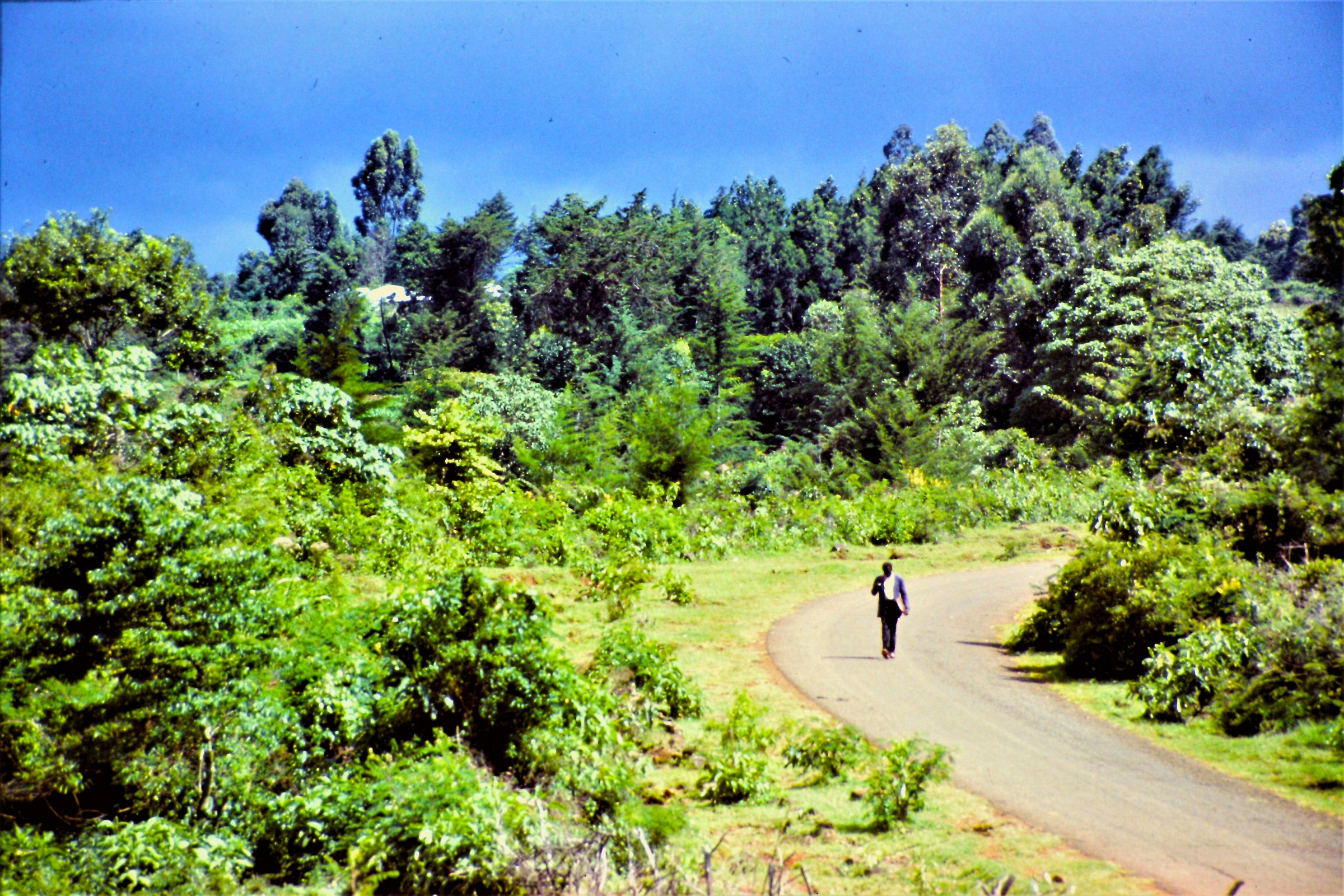 020 Eshu's Hat - Jules Pretty